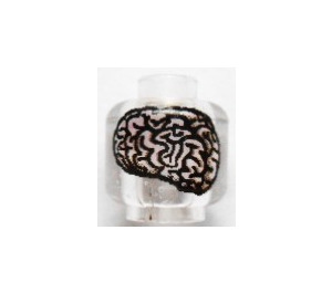 LEGO Minifigure Head with Brain Pattern (3626 / 43185) | Brick Owl
