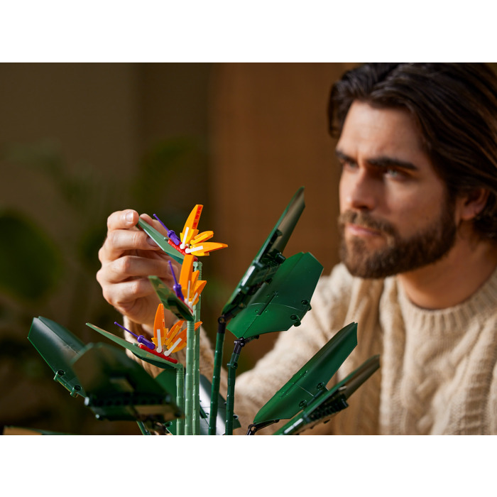 LEGO Bird of Paradise Set 10289 | Brick Owl