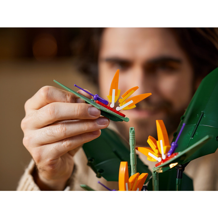 LEGO Bird of Paradise Set 10289 | Brick Owl