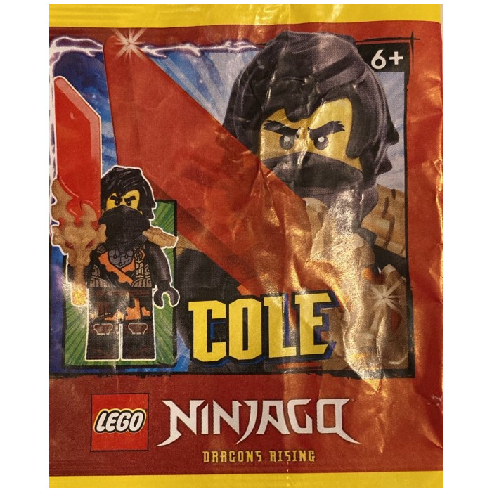 LEGO Cole Set 892512 | Brick Owl