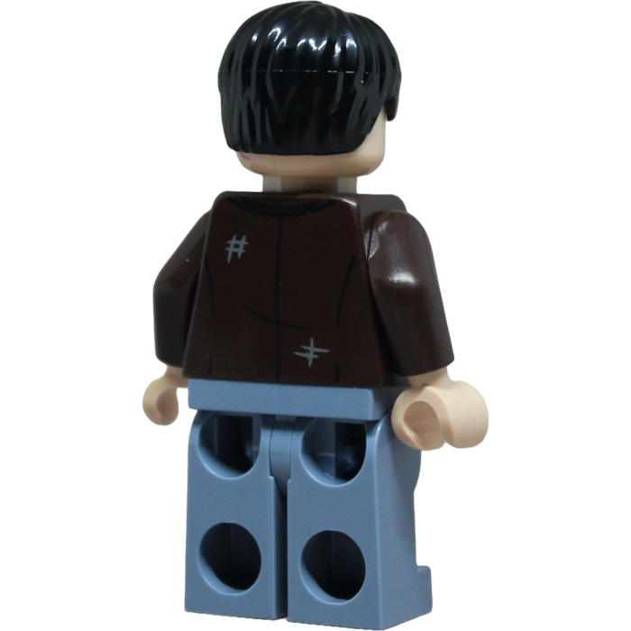 LEGO Harry Potter with Dark Brown Jacket and Jinx Face Minifigure ...