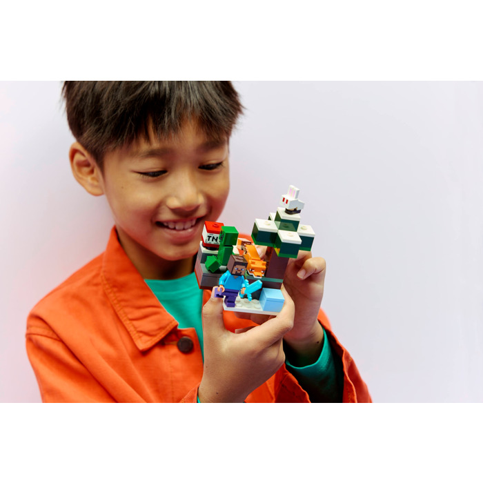 LEGO Steve's Taiga Adventure Set 21583 | Brick Owl