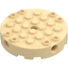 LEGO Round Bricks | Brick Owl