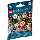LEGO Harry Potter Series 1 Sets | Brick Owl