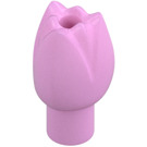 Katalog | Brick Owl - LEGO Marktplatz